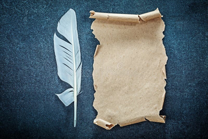 Medieval Paper Roll Feather on Crumpled Wrapping Stock Image - Image of ...