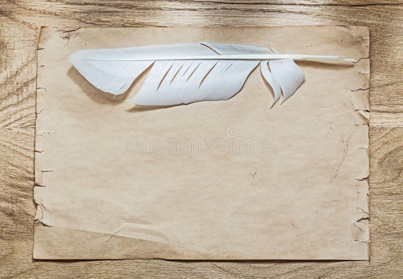 Medieval Parchment Feather on Wooden Board Stock Image - Image of ...
