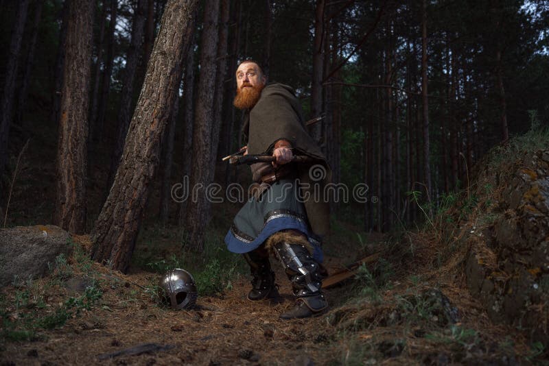 Medieval Red-haired Viking Warrior with Beard with Two Axes is ...