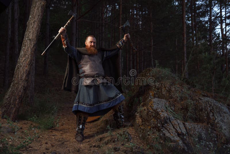 Medieval Red-haired Viking Warrior with Beard with Two Axes is ...