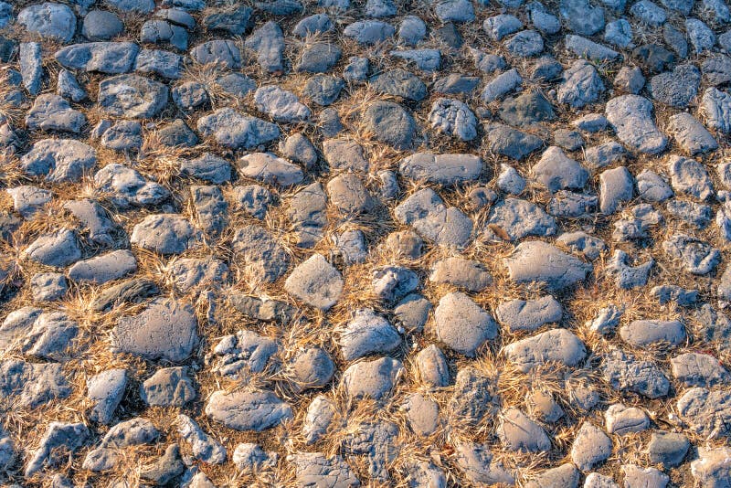 Medieval Road of Old Cobblestones and Grass between Them Stock Image ...