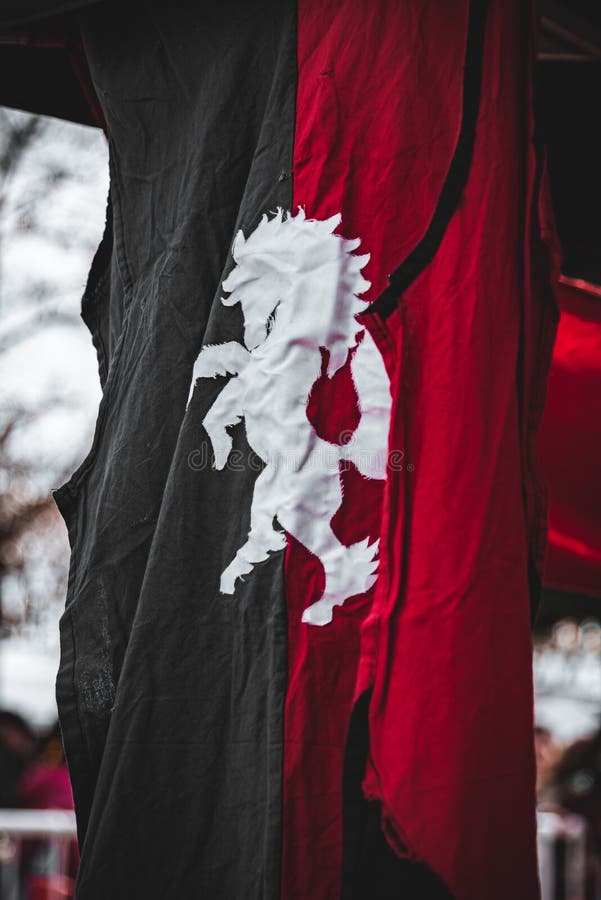 Medieval Standard with a Black and a White Stripe and a White Horse in ...
