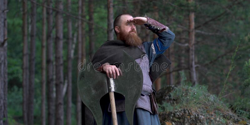 Medieval Warrior Viking Barbarian with Ax and Shield in Forest Stock ...