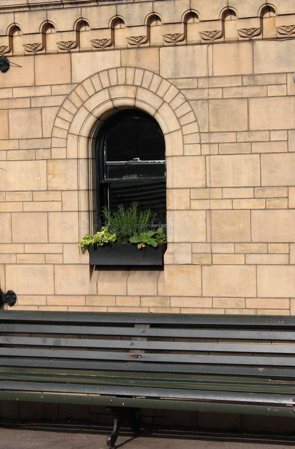 Window with Flowers and Grate Stock Photo - Image of wall, design: 14899646