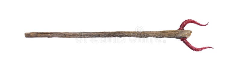Medieval Wooden Staff Horns Isolated White Stock Photos - Free ...
