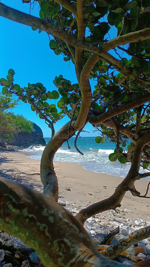 Medina Beach, Sucre State, Venezuela Stock Image - Image of state ...