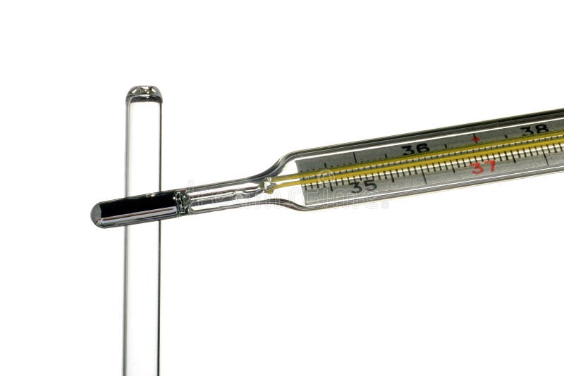 Medische Kwikthermometer, Het Leven Koraal Stock Foto - Image of ...