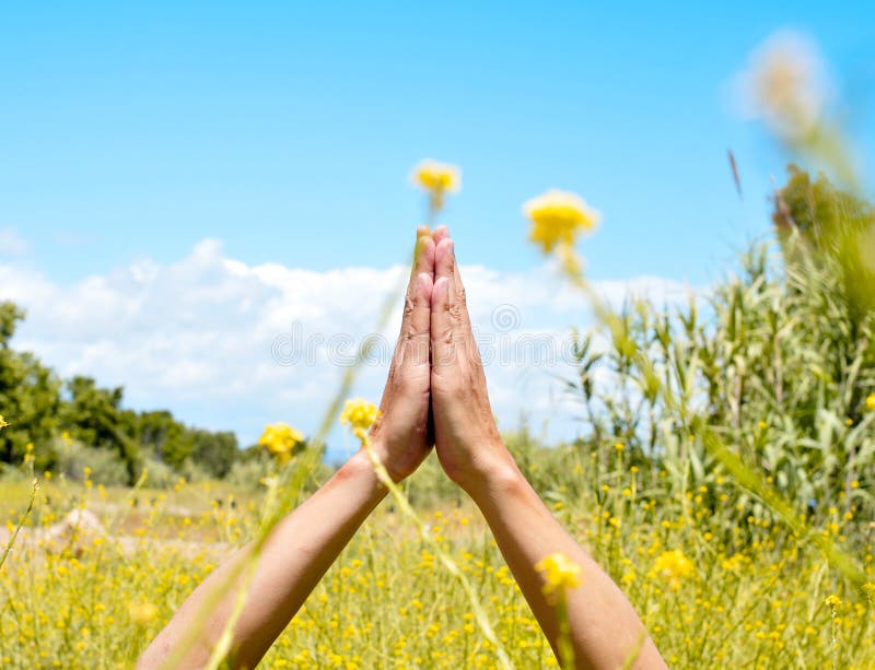 Meditating in a Spring Field Stock Image - Image of gratitude, anjali ...