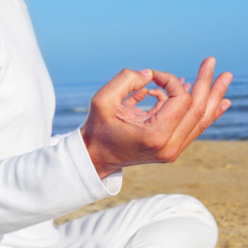 Cables stock photo. Image of current, cable, wire, filament - 3232752