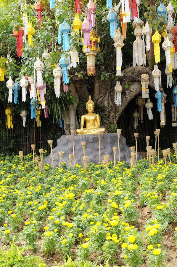 Buddha Zen Garden Meditation Stock Photo - Image of bark, springtime ...