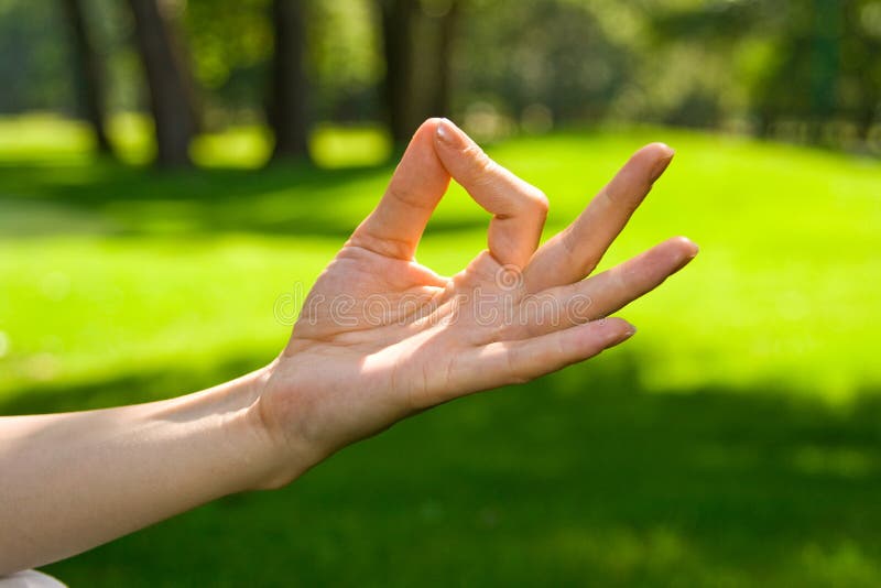 Zen hand stock photo. Image of exercise, health, fingers - 2426988