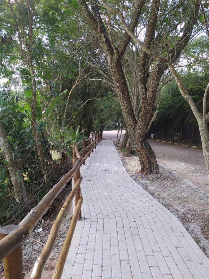 Meditation Path, Natural Scene Stock Photo - Image of garden, natural ...