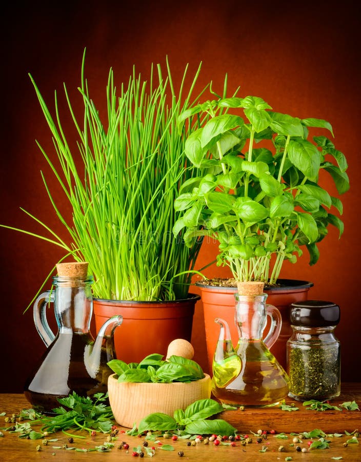 Mediterraan kruiden stock foto. Image of peterselie, vers - 39754334