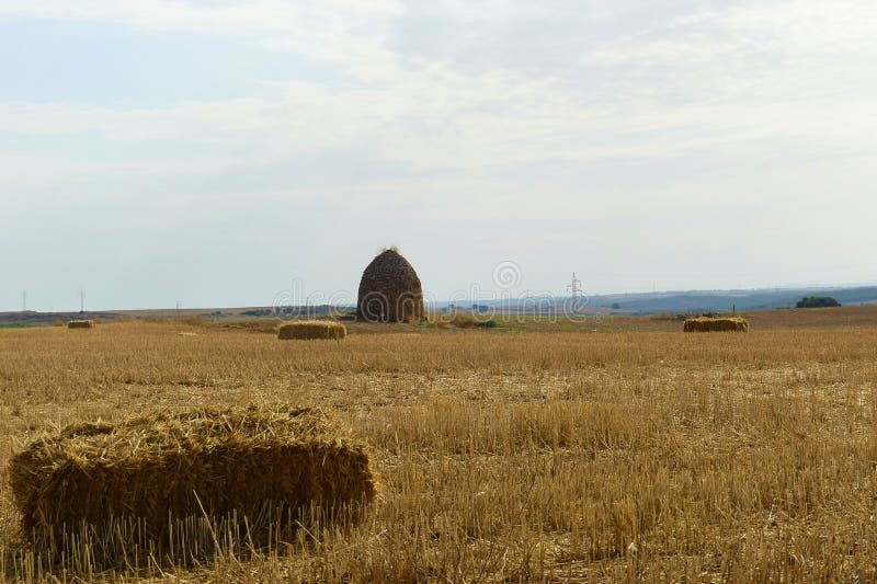 Mediterranean Agricultural Landscape with a `cuco` Stock Image - Image ...