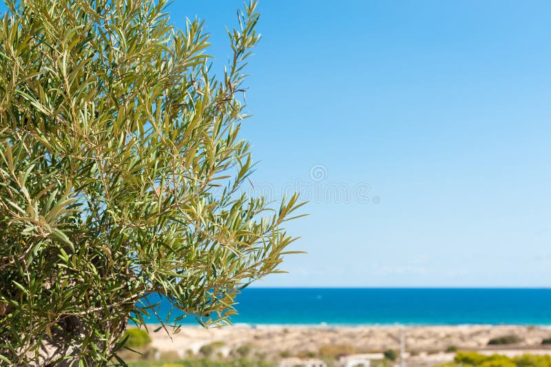 Mediterranean background stock photo. Image of horizontal - 21661028