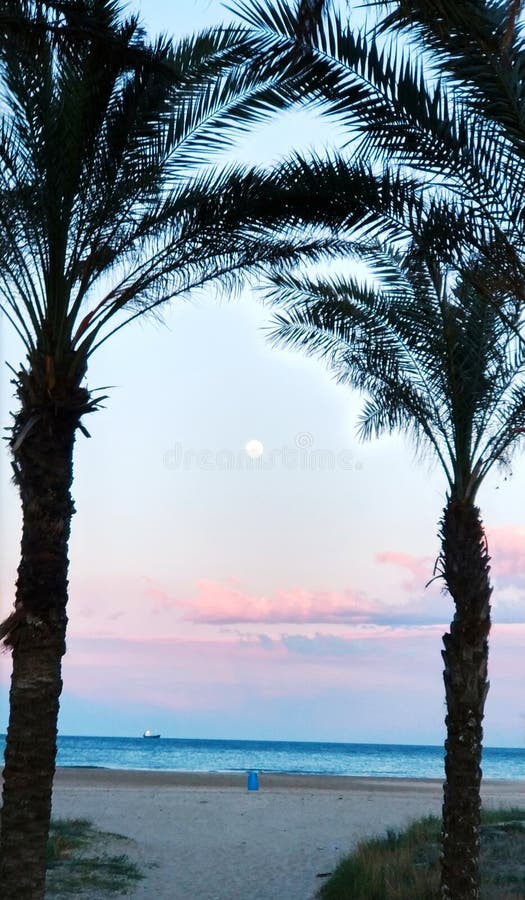 Nice sunset stock image. Image of nice, spain, beach - 124443375
