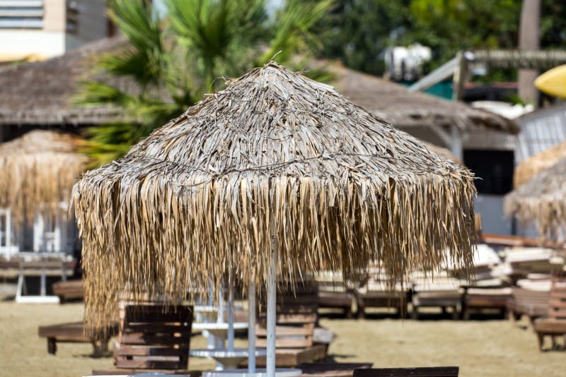 Mediterranean Beach Umbrellas in Cyprus Larnaca in Summer Stock Photo ...
