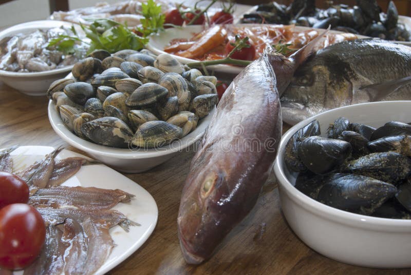 Mediterranean bluefish stock photo. Image of bluefish - 32508724