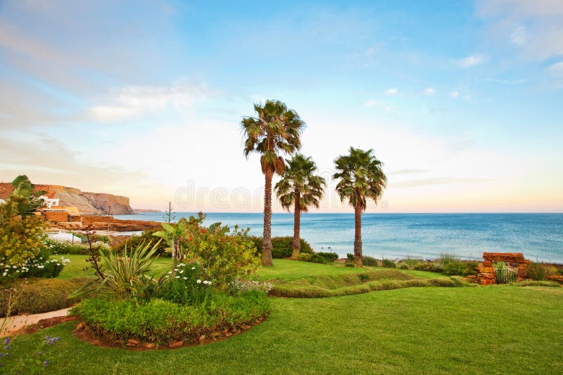 Mediterranean garden stock image. Image of natural, bright - 28161823