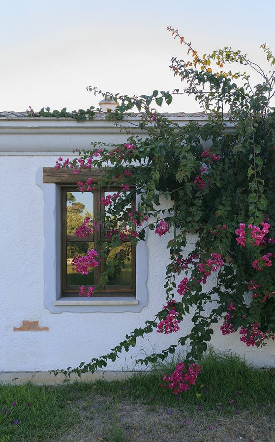 Mediterranean House. Door and Window Stock Image - Image of holiday ...