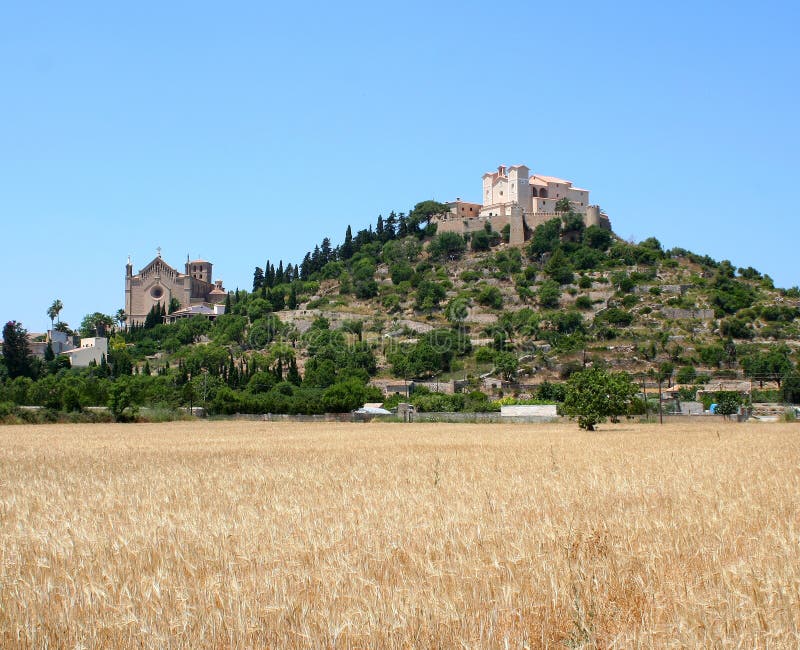 Mediterranean landscape stock photo. Image of farm, tree - 191250