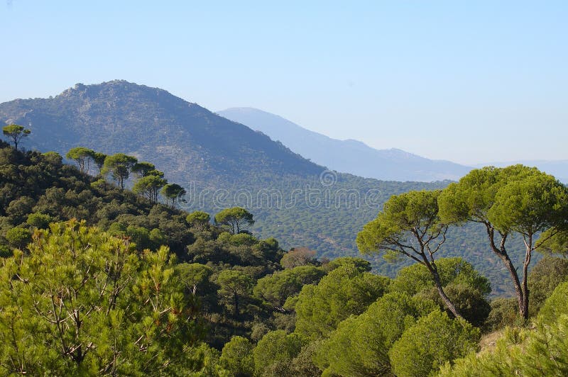Mediterranean landscape stock image. Image of conservation - 558247