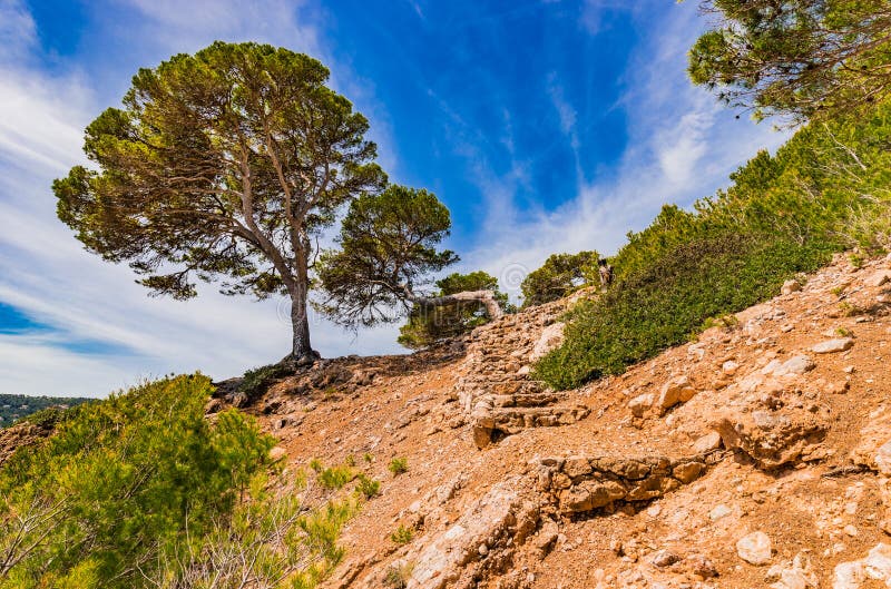 Mediterranean Landscape stock photo. Image of clouds - 90557478
