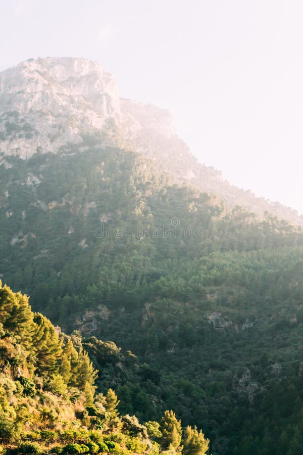 A Mediterranean Landscape in Mountains with Pines Stock Photo - Image ...