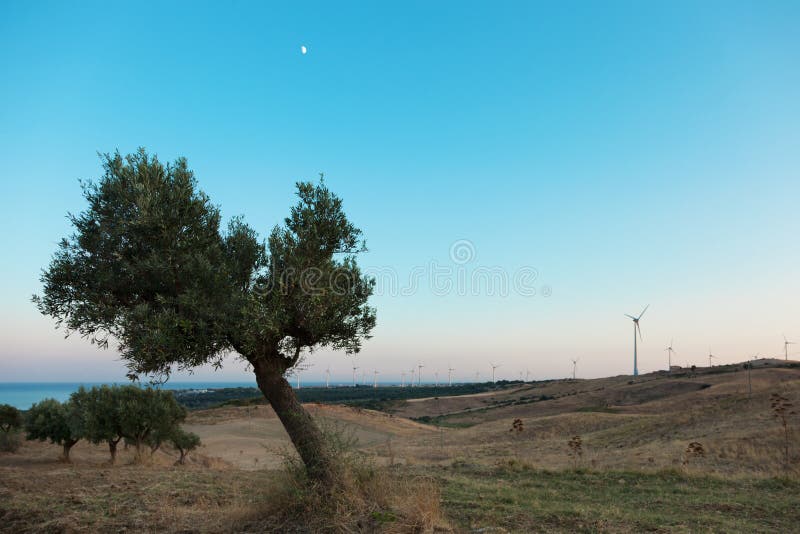 Mediterranean landscape stock photo. Image of industrial - 51027984