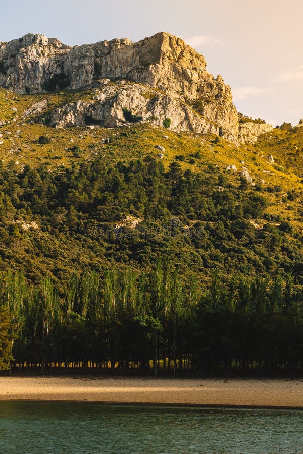 An Mediterranean Mountain in Lake, Vertical Photo with Pines Stock ...