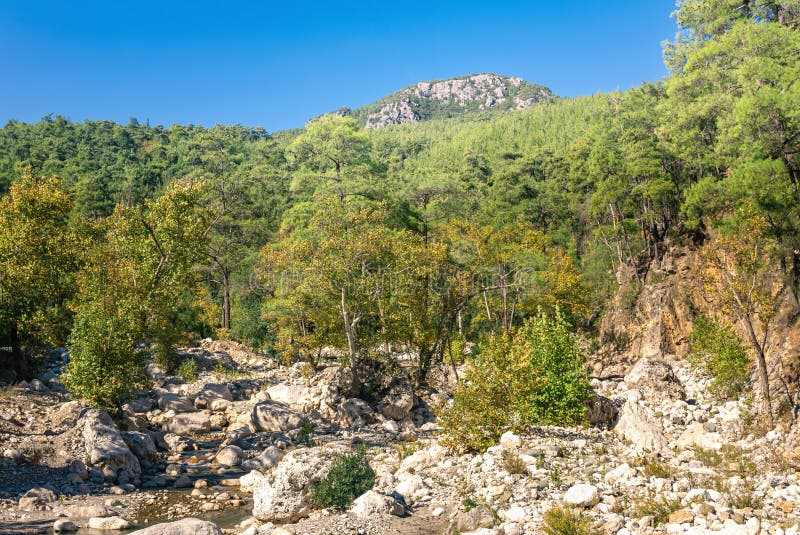 Mediterranean Mountain Landscape with Forest Growing on Rocky Ground ...