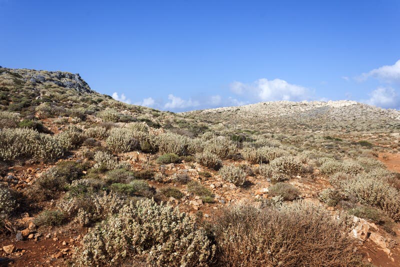 Mediterranean Scrub on a Mountain of Crete Stock Photo - Image of spice ...