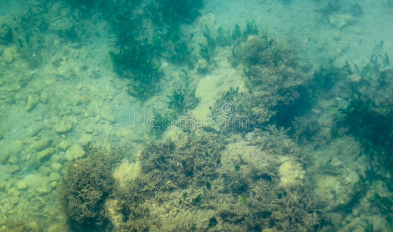 Mediterranean Sea Water stock photo. Image of coast - 257090244