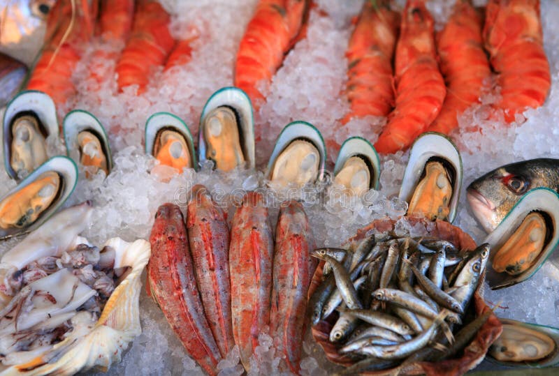 Mediterranean Seafood Display Stock Photo - Image of mediterranean ...