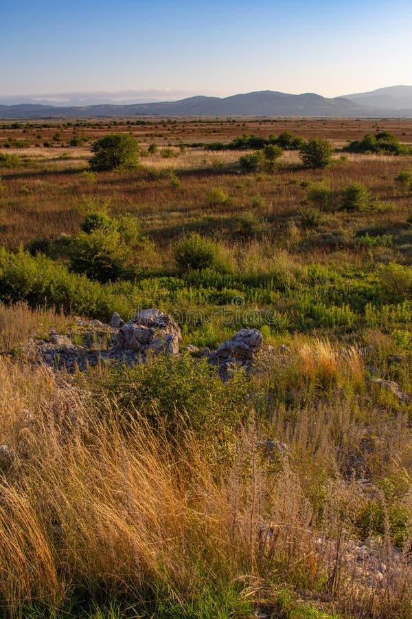 Mediterranean Shrubland on Steep Slope of Tigullio Coast Near Cavi ...