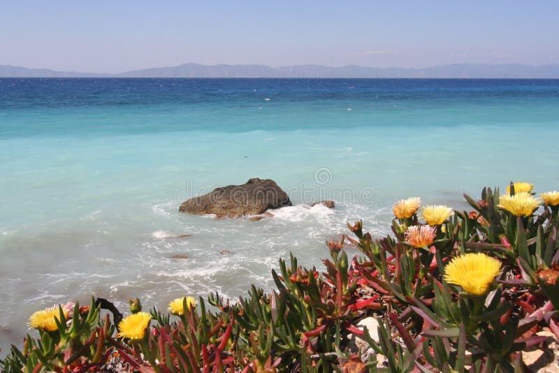 Savana Landscape with Baobabs Stock Image - Image of season, flora ...