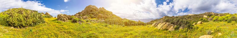 Mediterranean Spring stock photo. Image of sunshine - 125515546