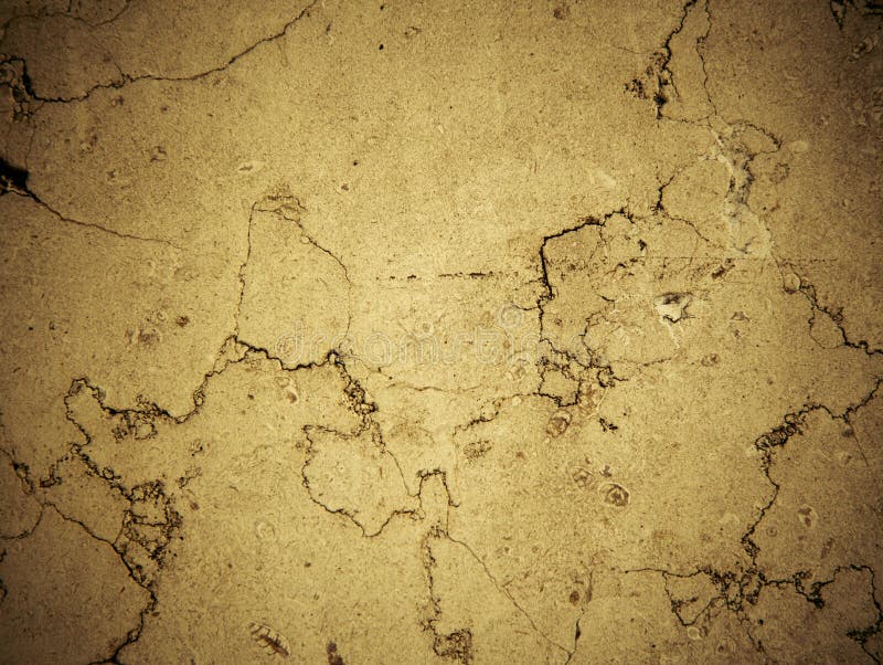 Mediterranean Wall with Plant Stock Image - Image of structure, sand ...