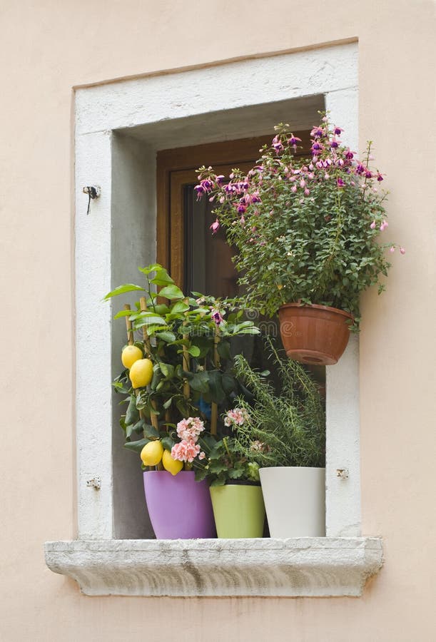 Mediterranean Window Flowers Stock Photo - Image of window, decor ...