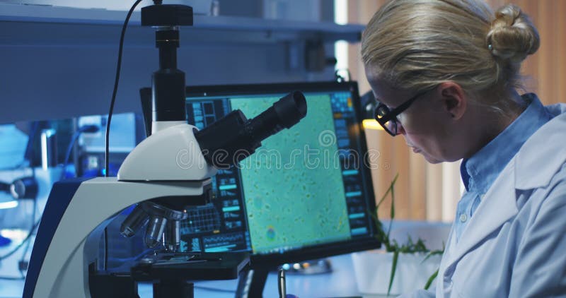 Scientist Using Transparent Display Screen Stock Photo - Image of ...