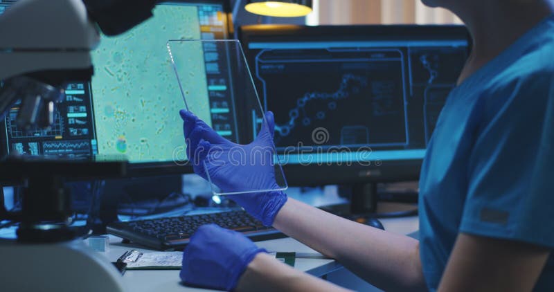 Scientist Using Transparent Display Screen Stock Image - Image of ...