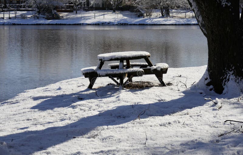 Winter Morning View by the Pond with the Trees and a Round Table ...