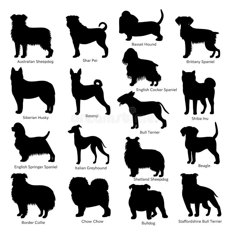 Medium Dog Breeds Silhouette Bundle Stock Image - Illustration of ...