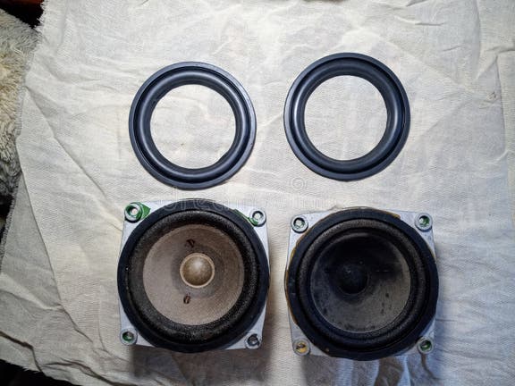 Medium Frequency Speakers 20gds-3. Soviet Vintage Acoustics, Elements ...