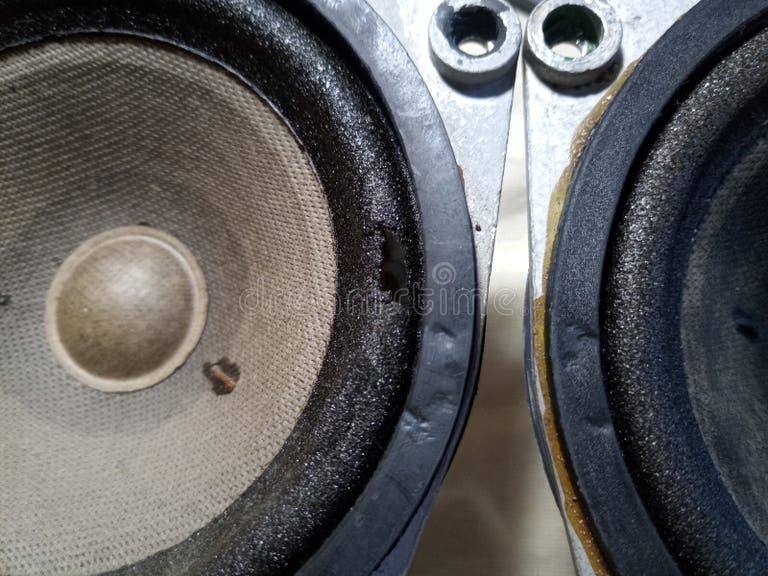 Medium Frequency Speakers 20gds-3. Soviet Vintage Acoustics, Elements ...