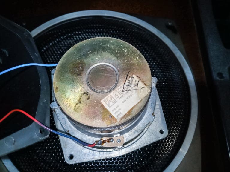 Medium Frequency Speakers 20gds-3. Soviet Vintage Acoustics, Elements ...