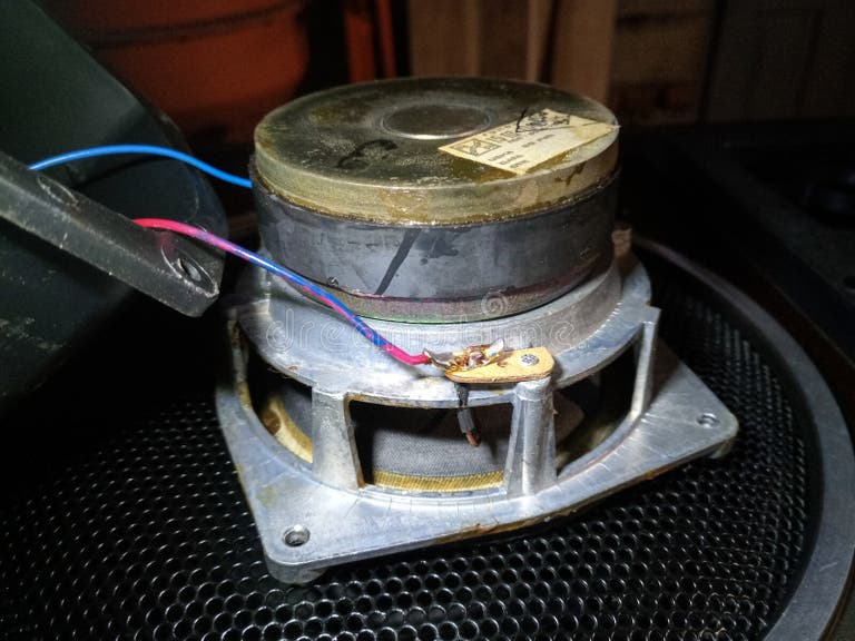 Medium Frequency Speakers 20gds-3. Soviet Vintage Acoustics, Elements ...