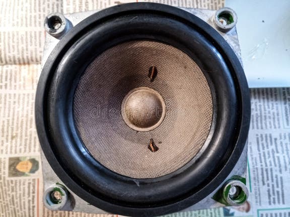 Medium Frequency Speakers 20gds-3. Soviet Vintage Acoustics, Elements ...