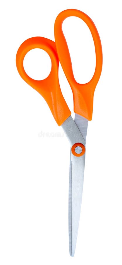 Medium Multipurpose Scissors with Orange Handle in Vertical Isolated on ...