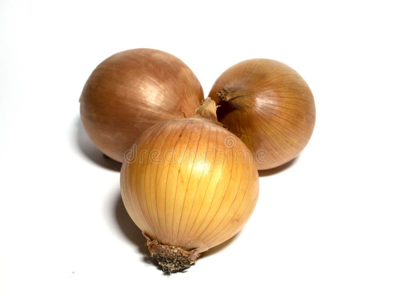 Medium onion stock image. Image of medium, dish, white - 221527761